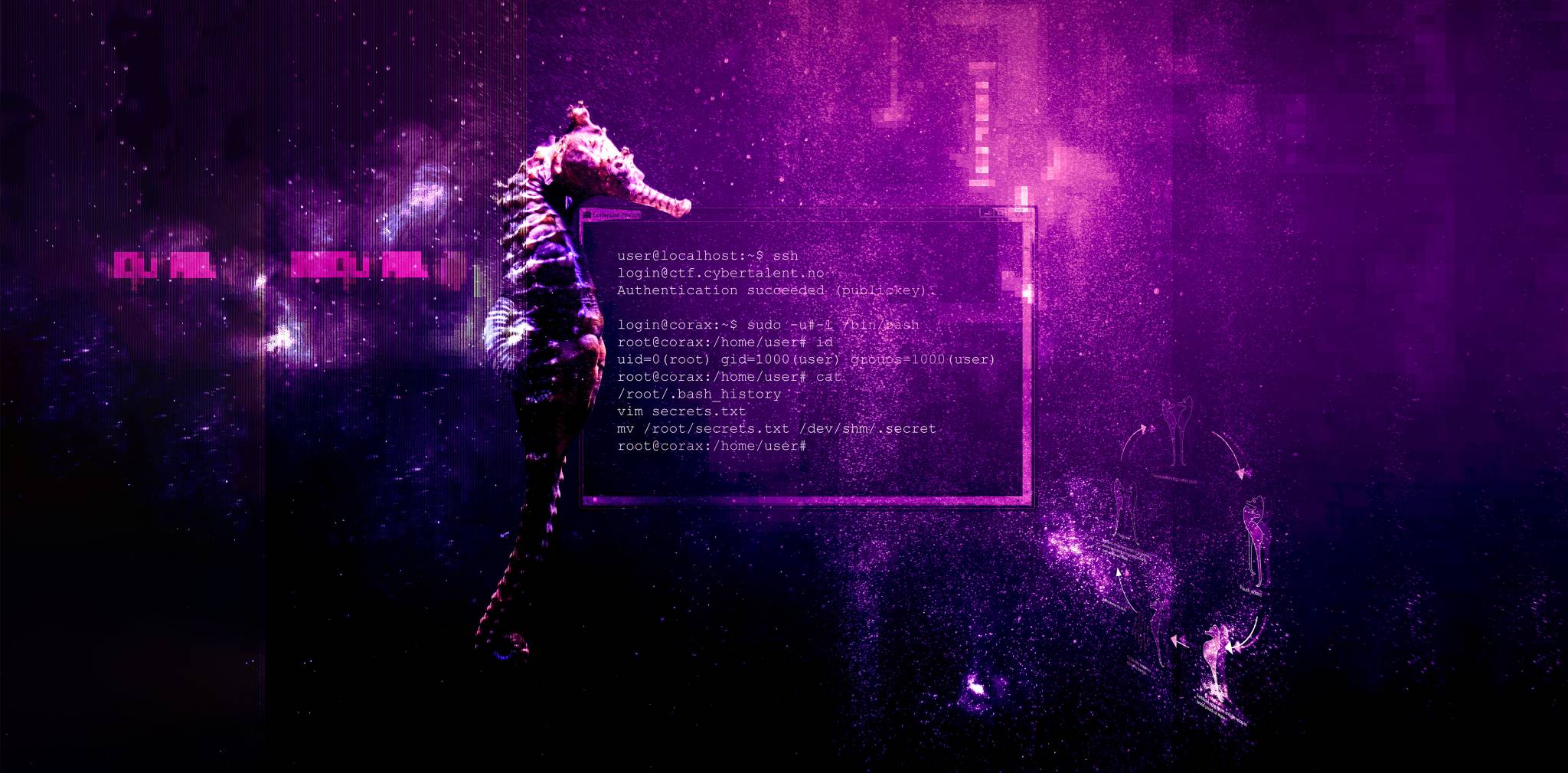 Talentprogram cyberoperasjoner - Etterretningstjenesten