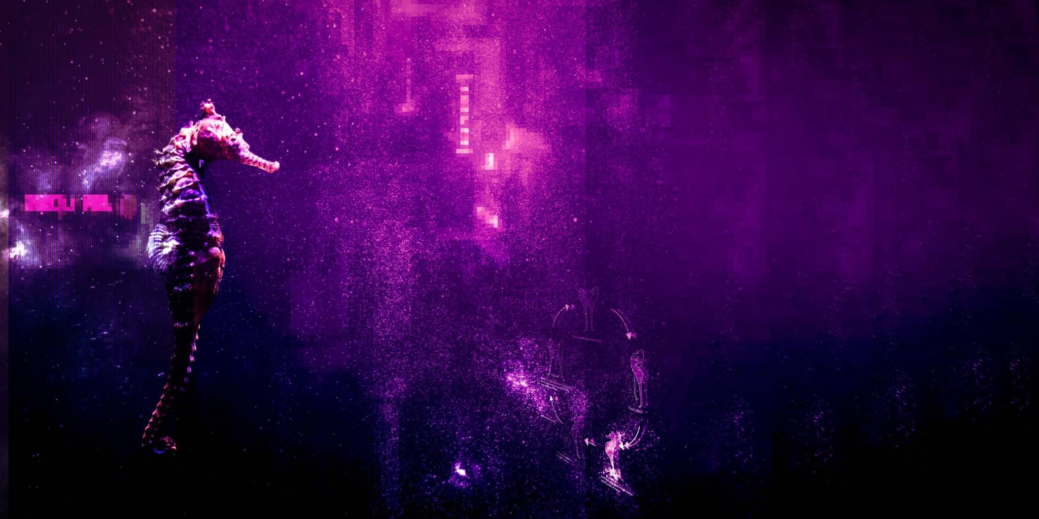 Talentprogram cyberoperasjoner - Etterretningstjenesten